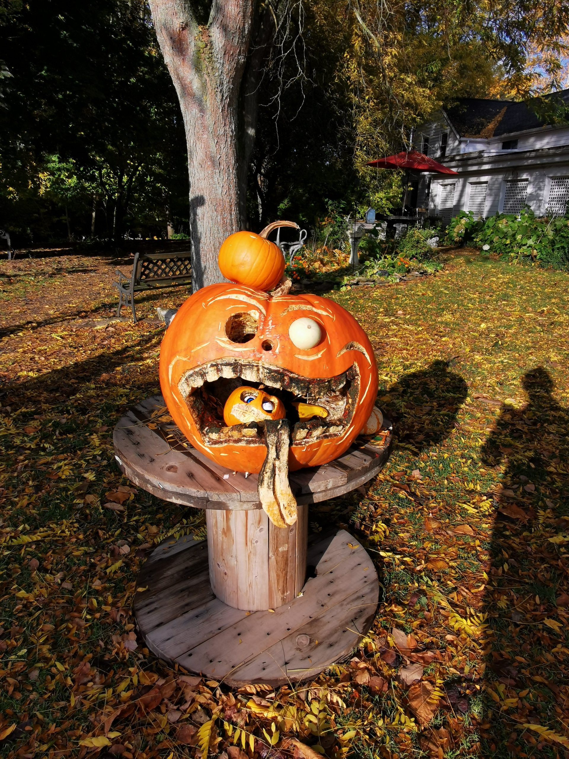 Twin Pines Orchards & Cider House - Thedford, Ontario, Canada [ONTARIO ...