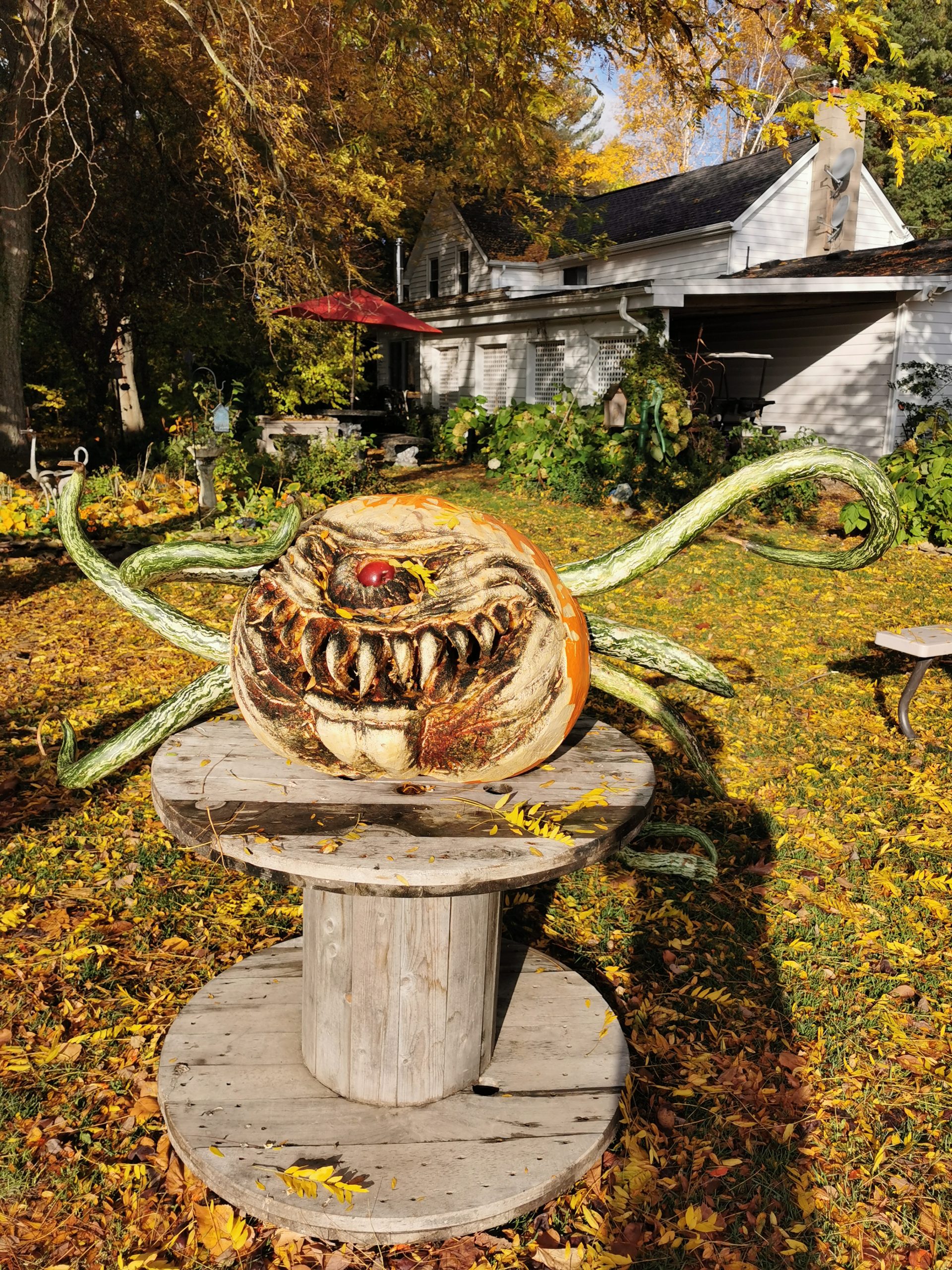 Twin Pines Orchards & Cider House - Thedford, Ontario, Canada [ONTARIO ...