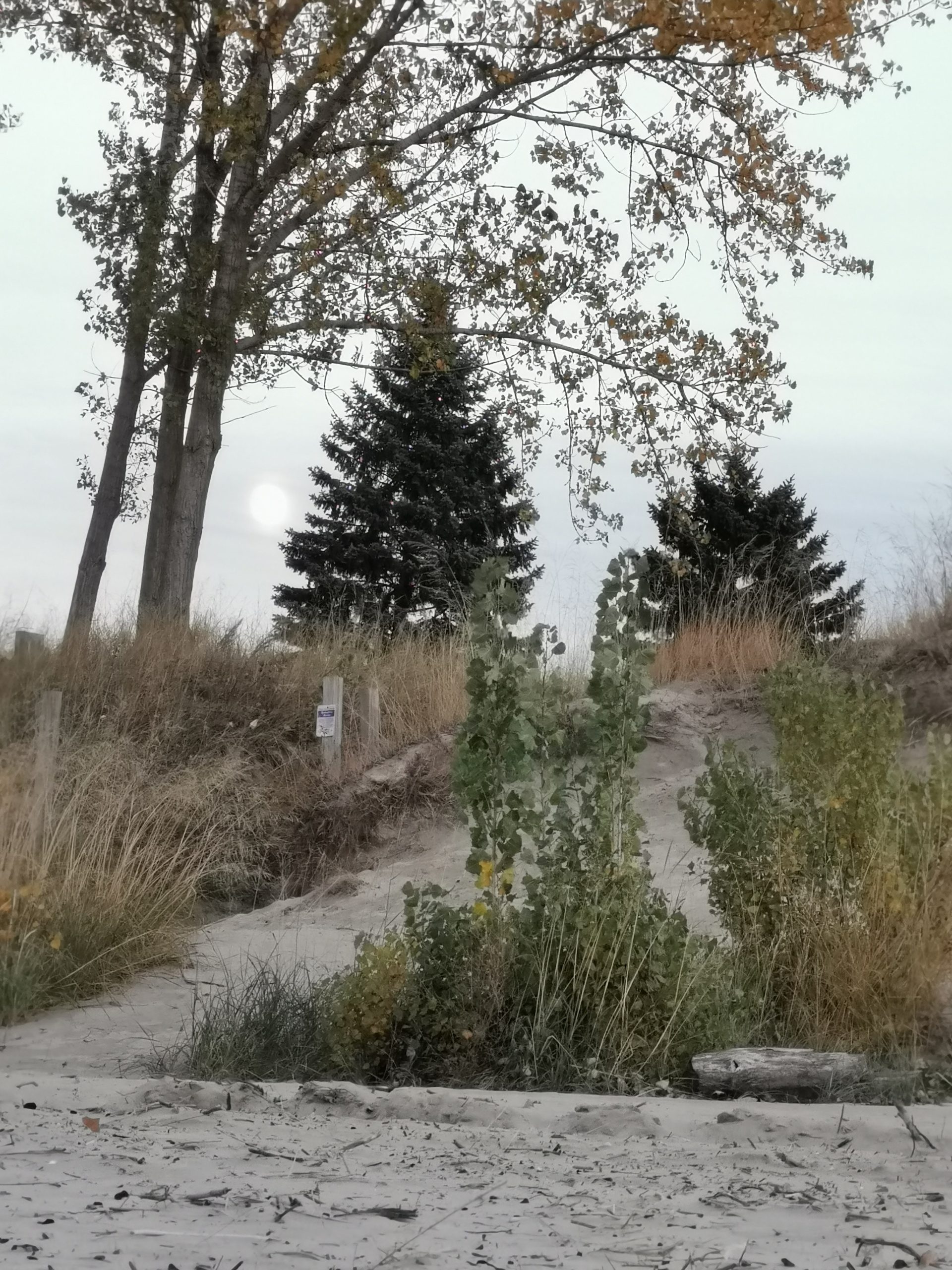 Private Beach - Port Franks, Ontario, Canada [ONTARIO TRAVEL SERIES ...