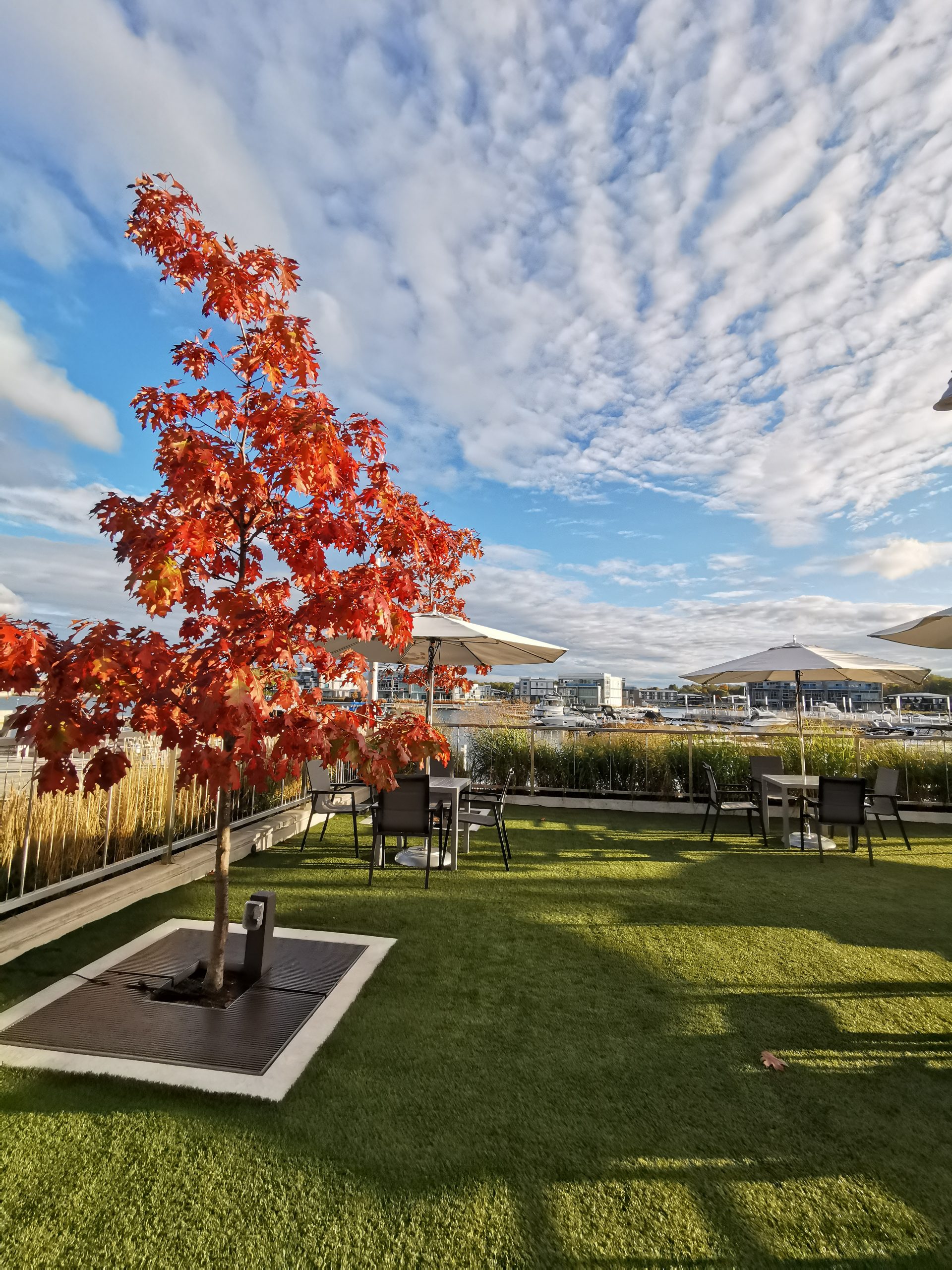 Marina - Friday Harbour Resort - Innisfil, Ontario, Canada [ONTARIO ...