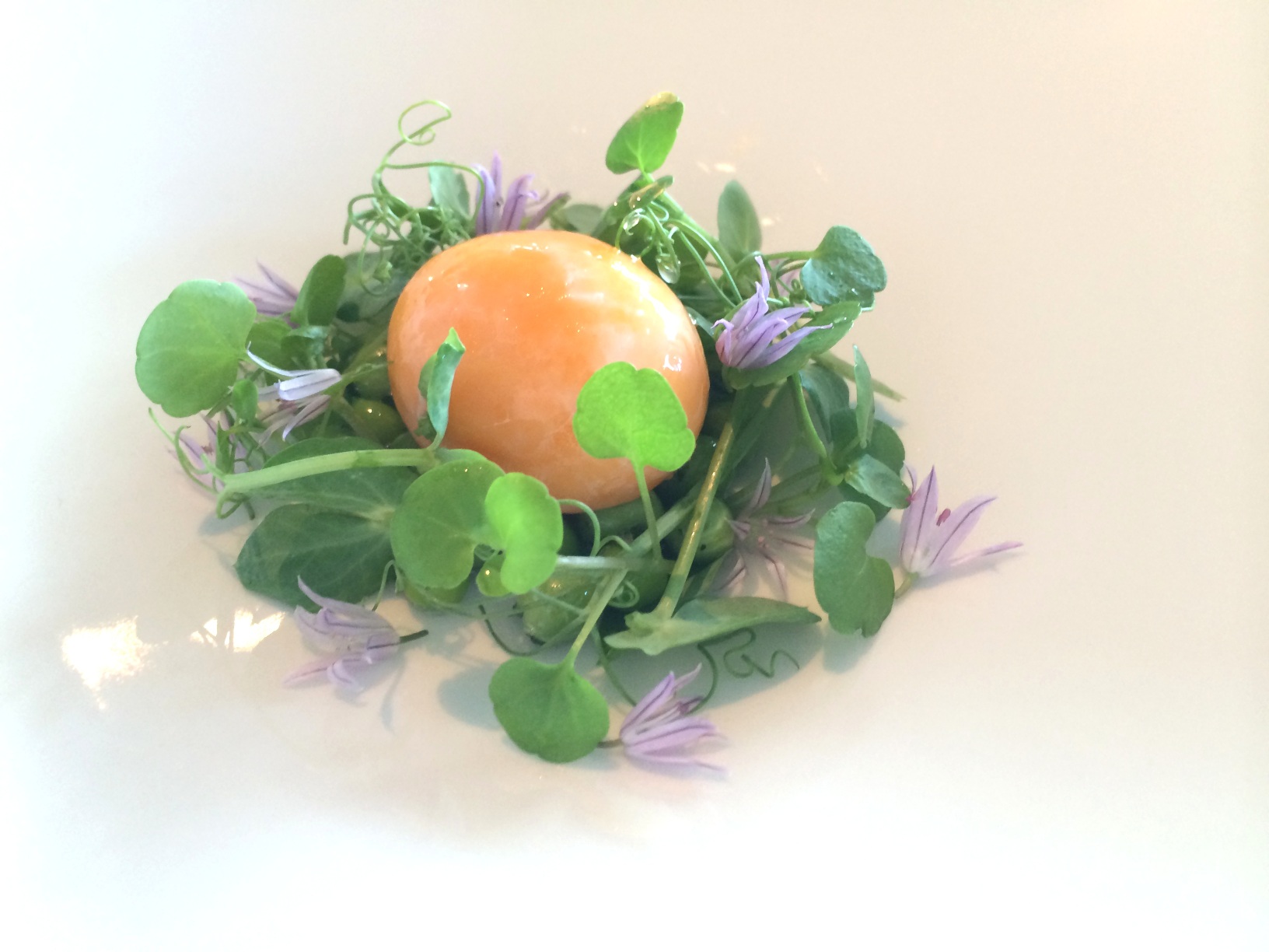 Geranium (Ranked #2) - The World's 50 Best Restaurants - MoVernie on ...