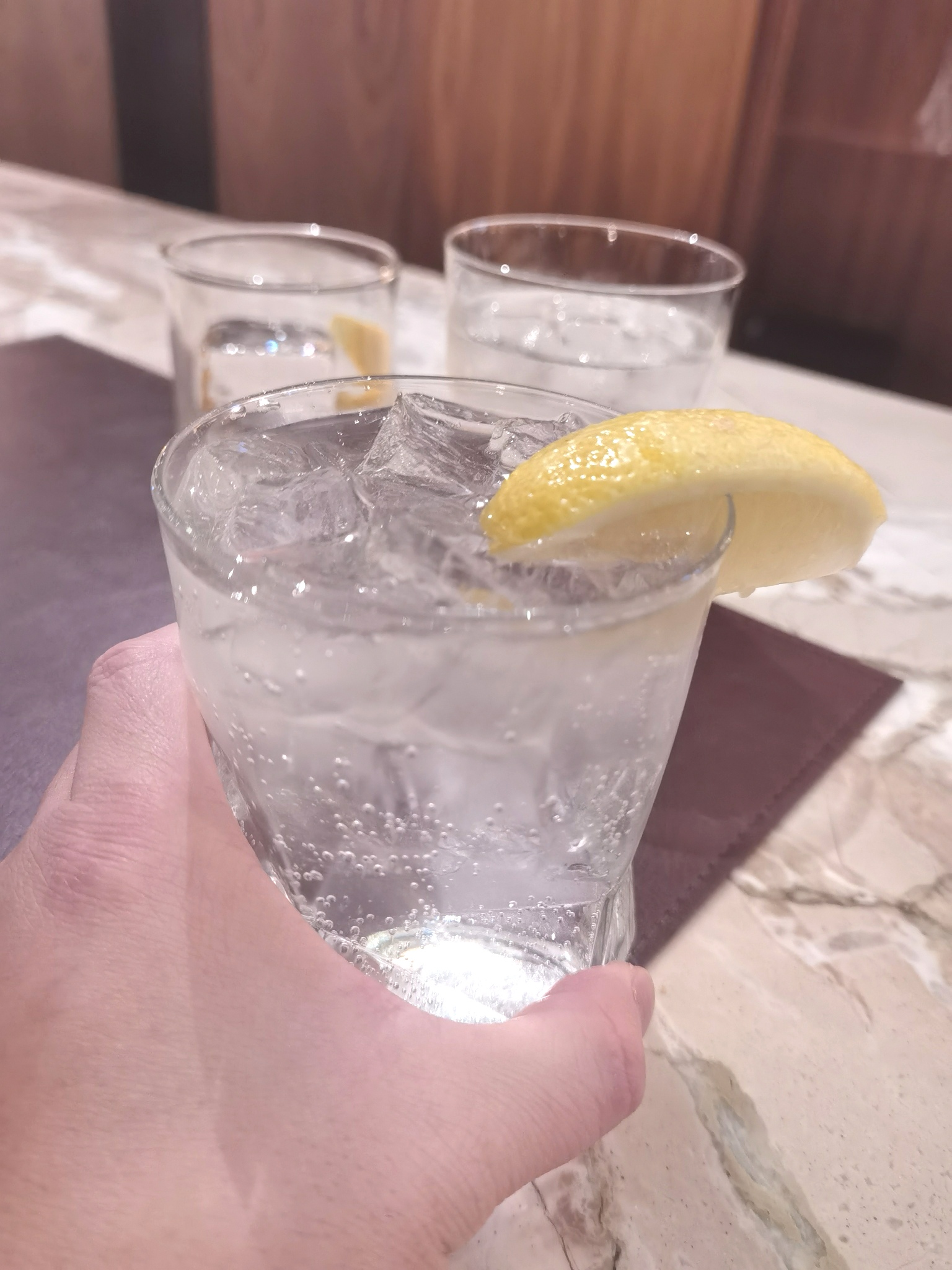 Air Canada Signature Club (Inside Scotiabank Arena) - Luxurious ...