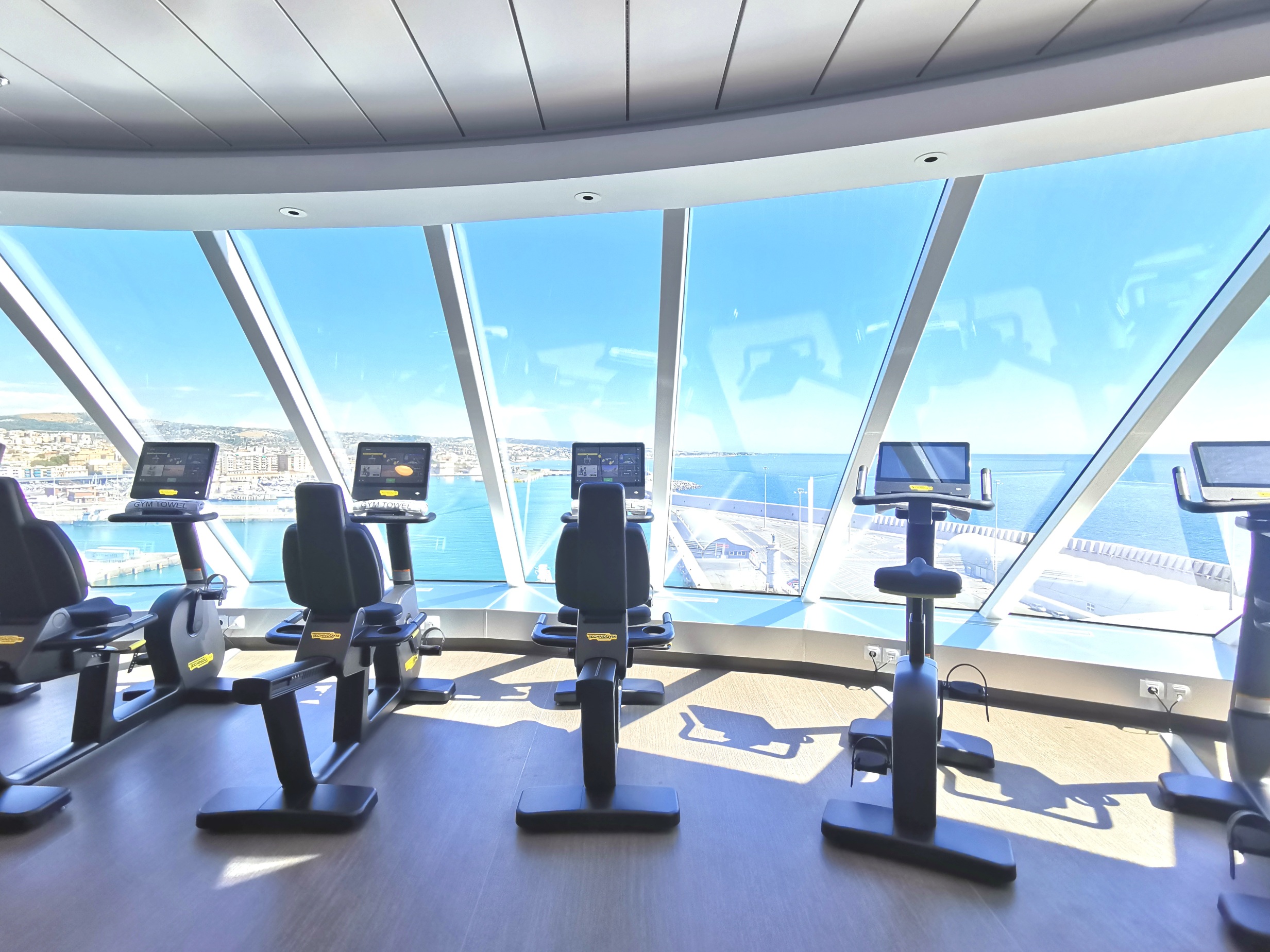 Gym - Workout & Exercise [CELEBRITY BEYOND TRAVEL SERIES] - MoVernie on ...